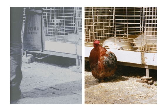 Karen Irmer | Schein und Haben (2007) | MutualArt