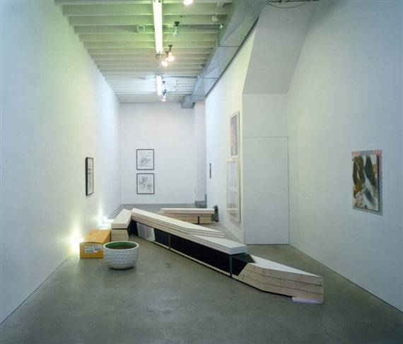 Scott Lyall | installation of an aaliyah (2006) | MutualArt