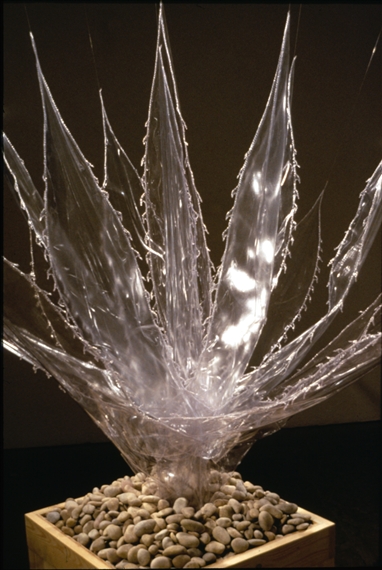 Leigh Anne Lester | 1 Artworks at Auction | MutualArt