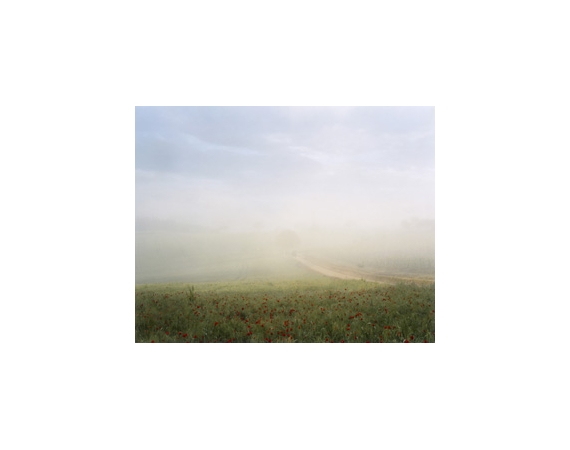 Joel Meyerowitz | Summer Early Morning Mist, Rising (2001) | MutualArt