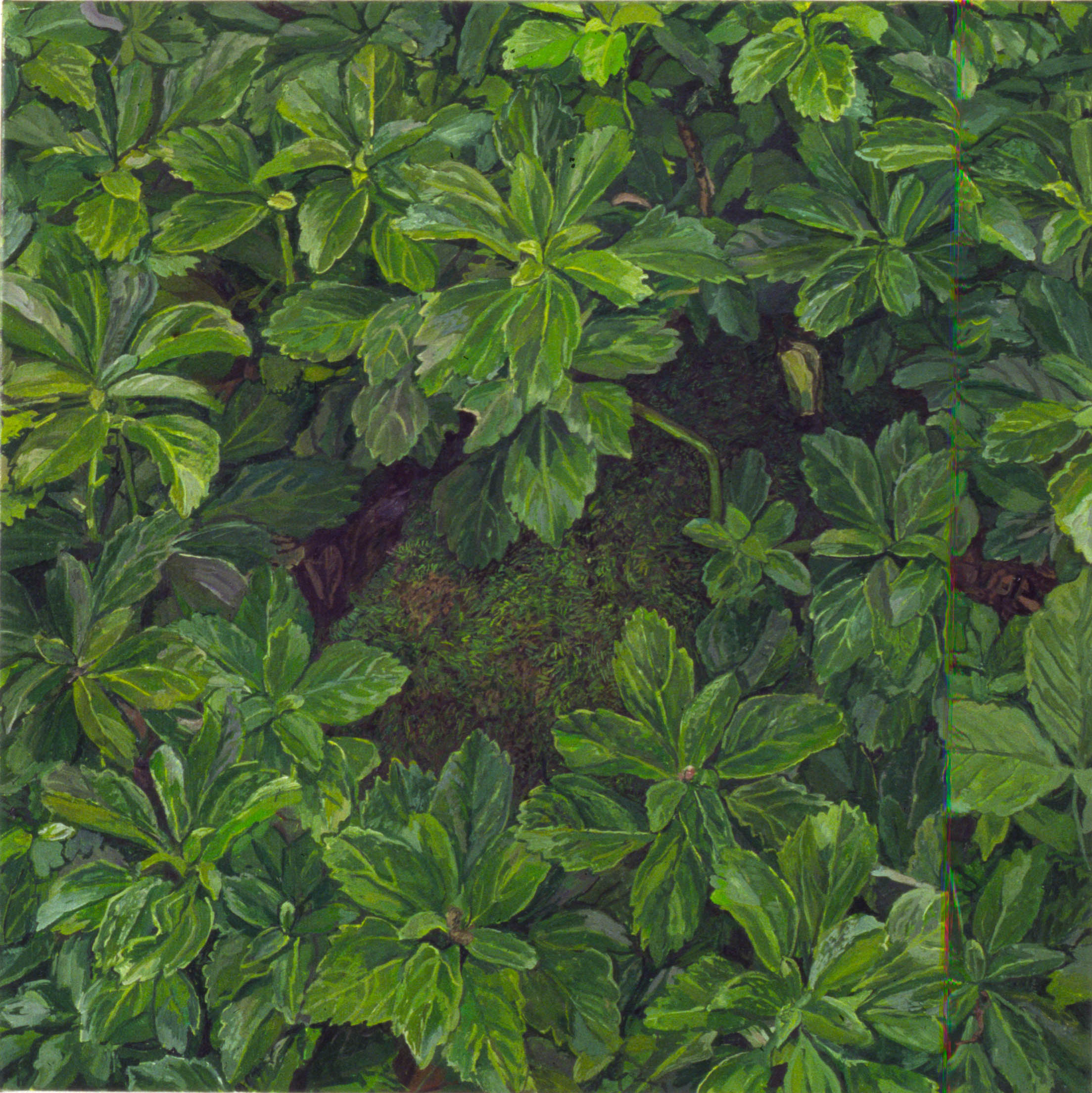 Ellen Altfest | Green Rock (2004) | MutualArt