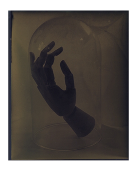 Alida Fish | 1 Artworks at Auction | MutualArt