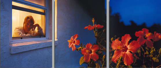 David Hilliard | Widow (2005) | MutualArt