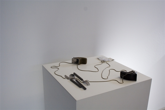 1 Jac Leirner Signatures | MutualArt