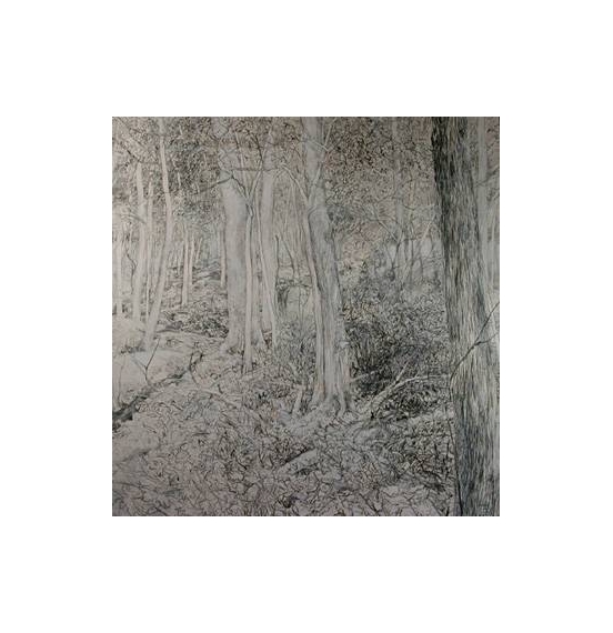 Tom Edwards | Performance at Auction | MutualArt