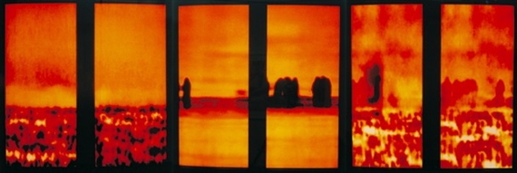 Michal Rovner | 298 Artworks at Auction | MutualArt