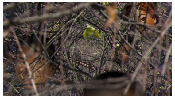 Barry Anderson | Biography