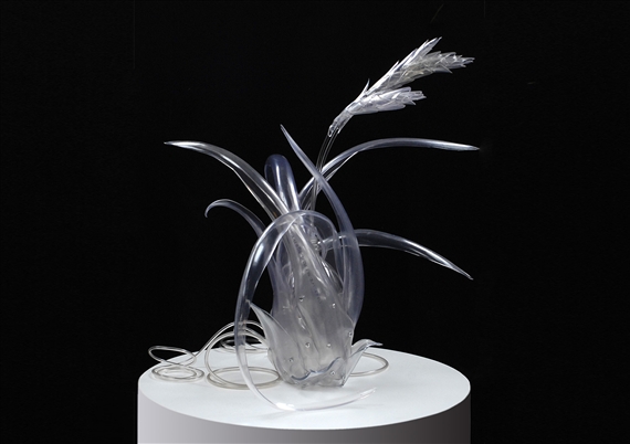 Jeff Muhs | Biography