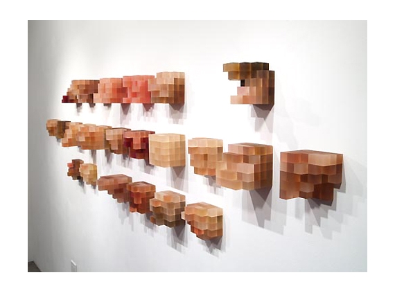 David Adey | Anatomic Particulars (2007) | MutualArt