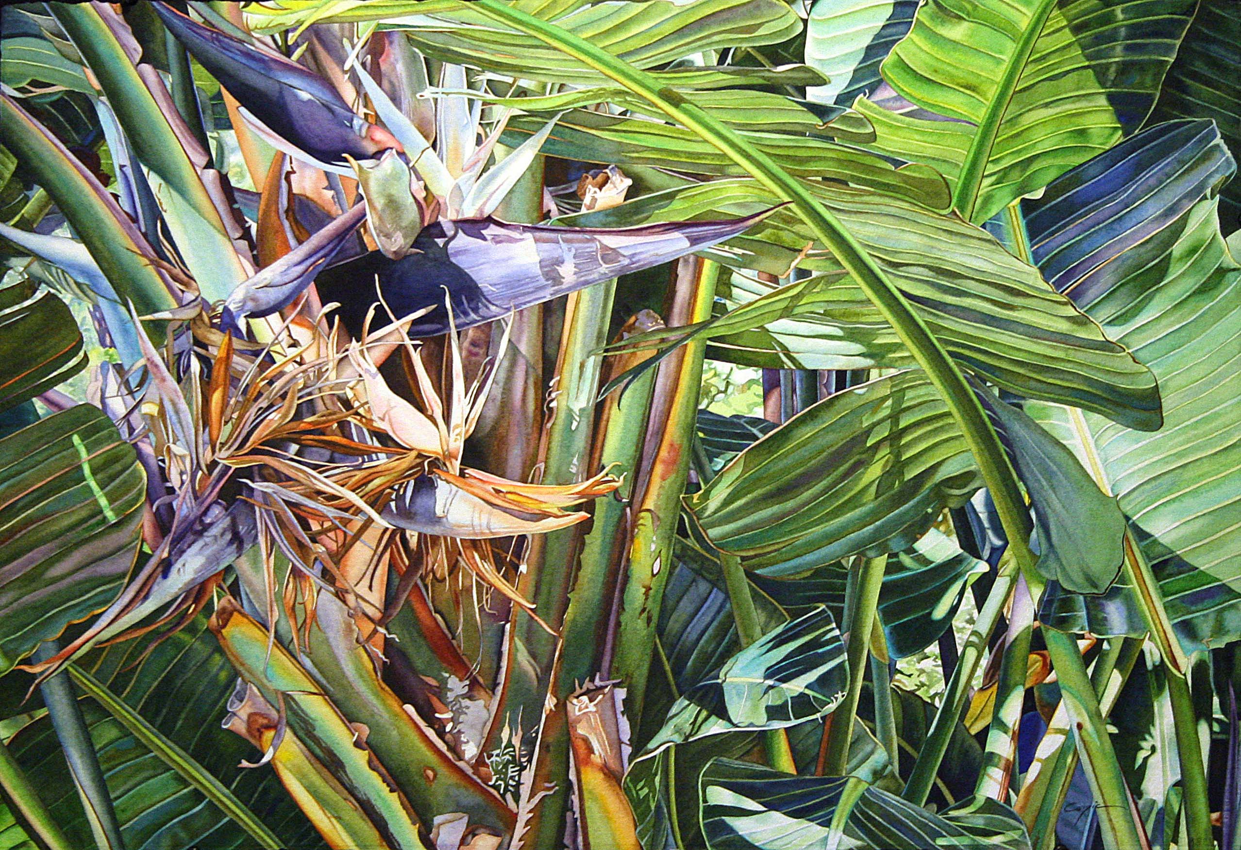 Christine Cozic | Birds of Paradise (2007) | MutualArt