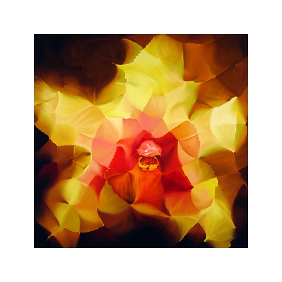 Jeff Huntington | Biography