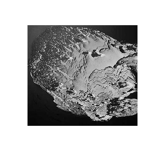 Robin Sewell | 13 Artworks | MutualArt