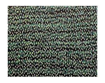 Elizabeth Cheek | 3 Artworks at Auction | MutualArt