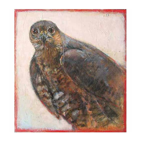 Ed Musante | Cooper's Hawk | MutualArt