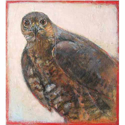 Ed Musante | Cooper's Hawk | MutualArt