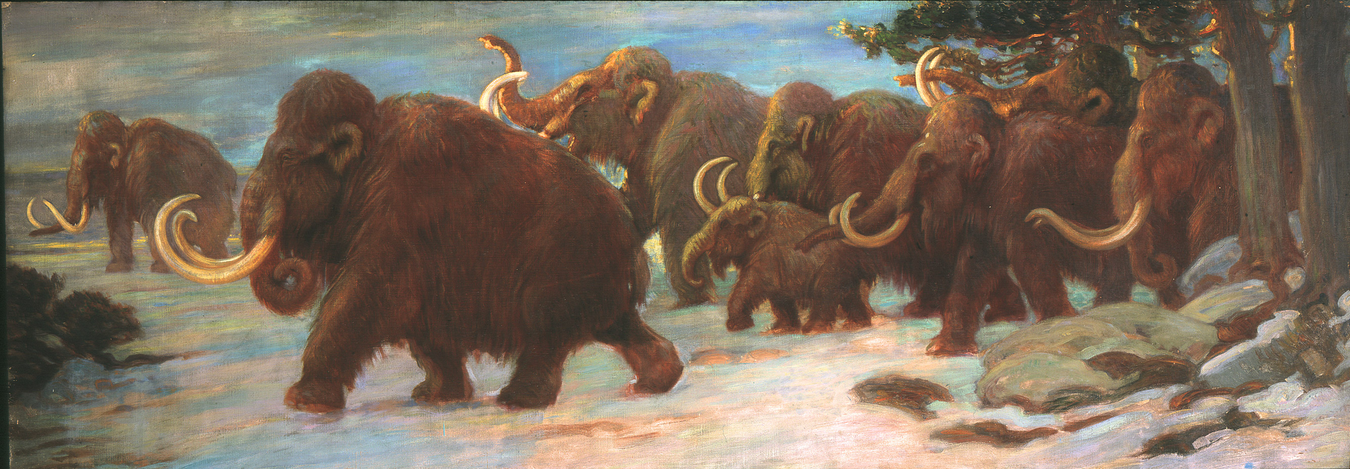 Charles R. Knight | Woolly Mammoths (1916) | MutualArt