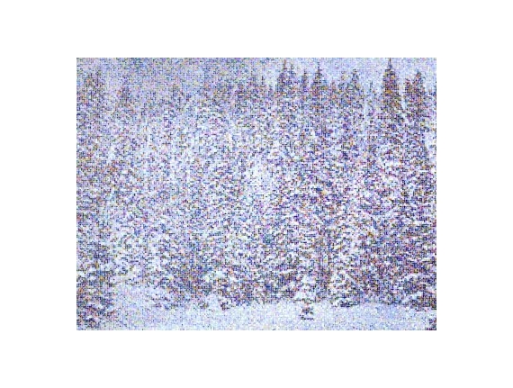 Dan Hays | Biography