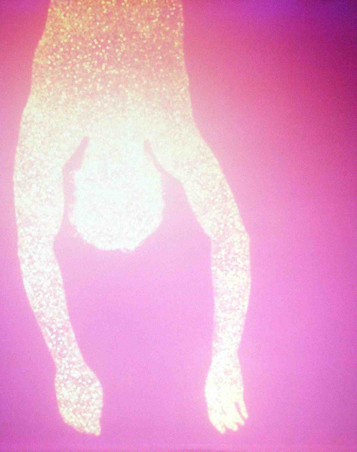 Christopher Bucklow | Bucklow Guest (2007) | MutualArt