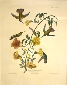 John Borba | Artist Overview | MutualArt