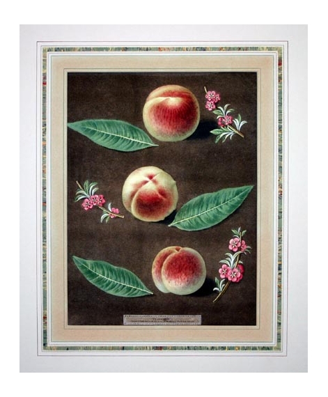 George Brookshaw | 144 Artworks at Auction | MutualArt