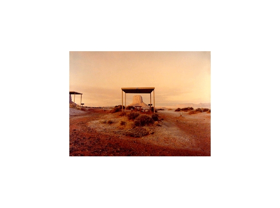 Terry Falke- Life, Art & Legacy | MututalArt