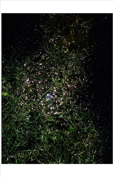 Peggy Casey Friedman | 2 Exhibitions and Events | MutualArt