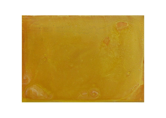 Joe Novak | Exhibitions | MutualArt