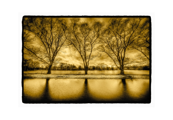 Dan Burkholder | 8 Exhibitions and Events | MutualArt