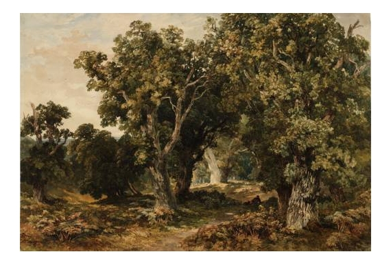 William Bennett | 94 Artworks at Auction | MutualArt