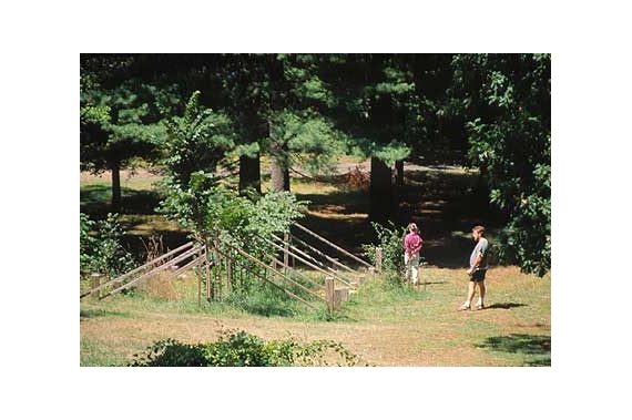 Daniel Ladd | 1 Artworks at Auction | MutualArt