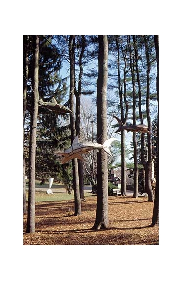 Kitty Wales | Pine Sharks (1997) | MutualArt