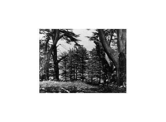 Sell Your Francis Frith with MutualArt