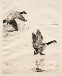 Frank Weston Benson | Geese Alighting (1915) | MutualArt
