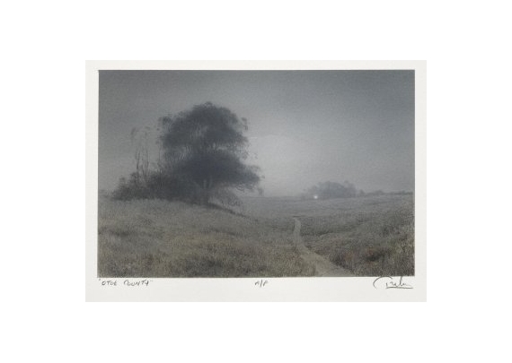 Steven Graber | 2 Artworks at Auction | MutualArt