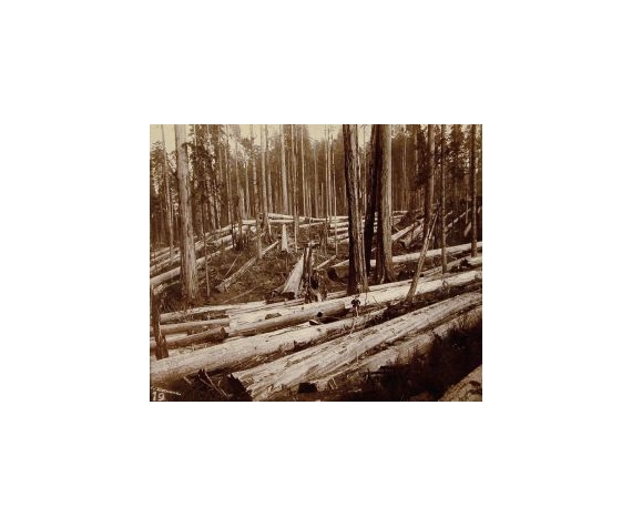 Augustus William Ericson | 1 Artworks at Auction | MutualArt