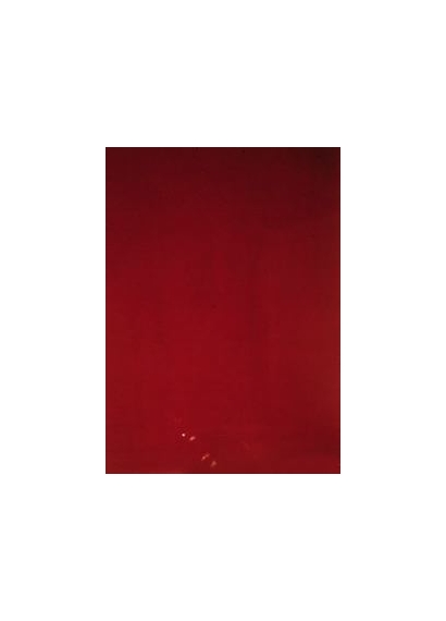 Gerhard Richter | Spiegel, blutrot (Blood Red Mirror) (1991) | MutualArt