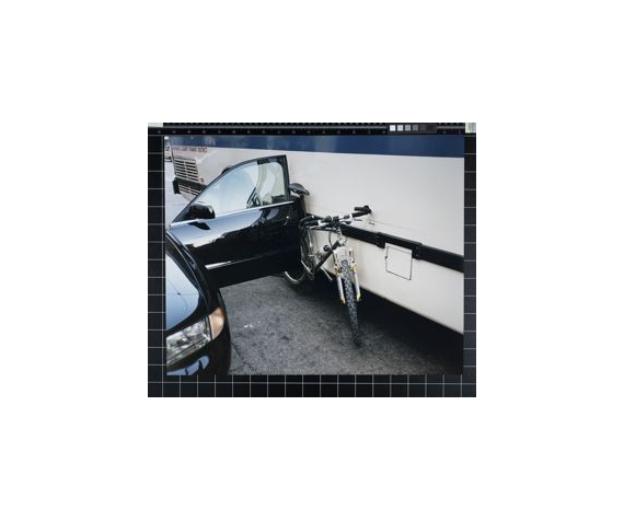 Will Rogan | 1 Artworks at Auction | MutualArt