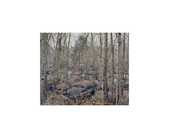 Mike Smith | Biography