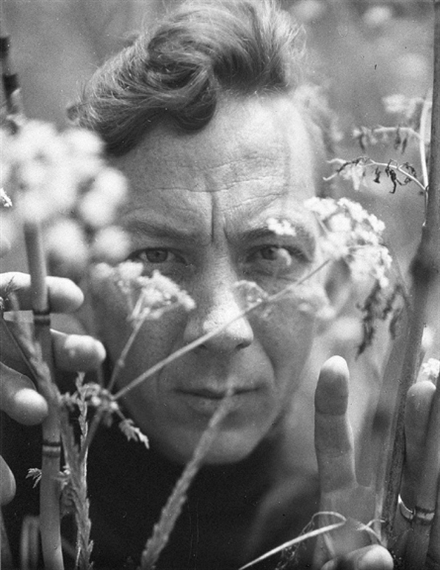 Rose Mandel | 6 Exhibitions and Events | MutualArt