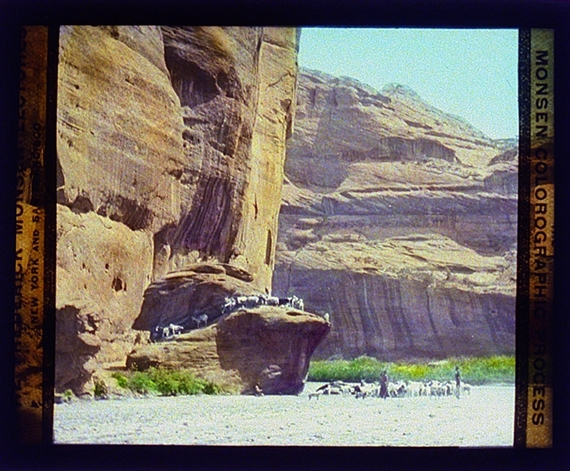 Frederick Monsen | Sheep in canyon (1909) | MutualArt