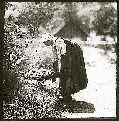 Alfred Stieglitz | Peasant woman working in wheatfield (1890) | MutualArt