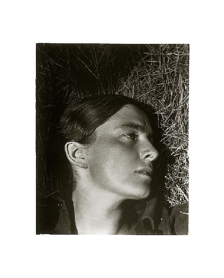 Alfred Stieglitz | Rebecca Strand (1922) | MutualArt