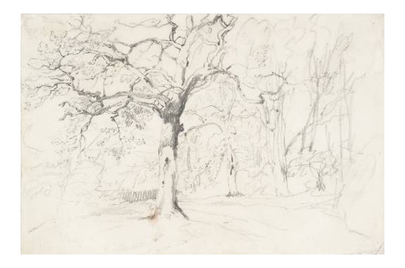 Aaron Edwin Penley | 103 Artworks | MutualArt