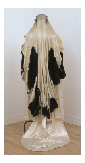 Dorothy Cross | Biography