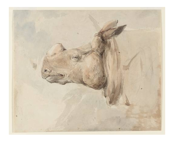 Edward Angelo Goodall | 159 Artworks at Auction | MutualArt