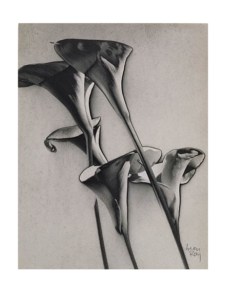 Man Ray | Calla Lilies (1930) | MutualArt