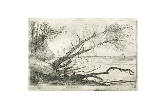 Otto Henry Bacher | Old Sycamore (1877) | MutualArt