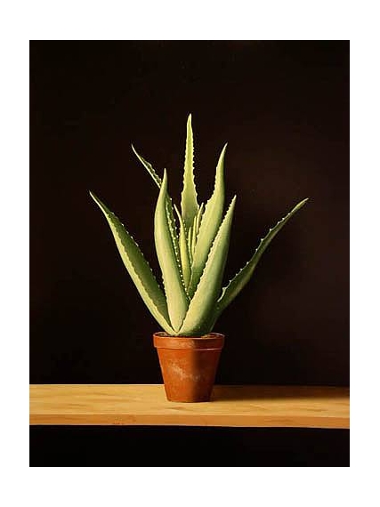 Matthew Pierog | 16 Artworks at Auction | MutualArt