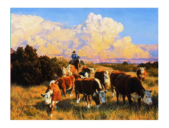 Tim Cox | 74 Artworks at Auction | MutualArt