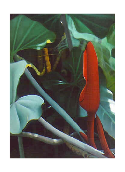 Manon Cleary | 17 Artworks | MutualArt